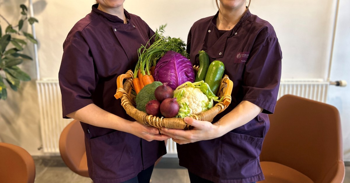 Bliv elev hos os - Madservice Viborg